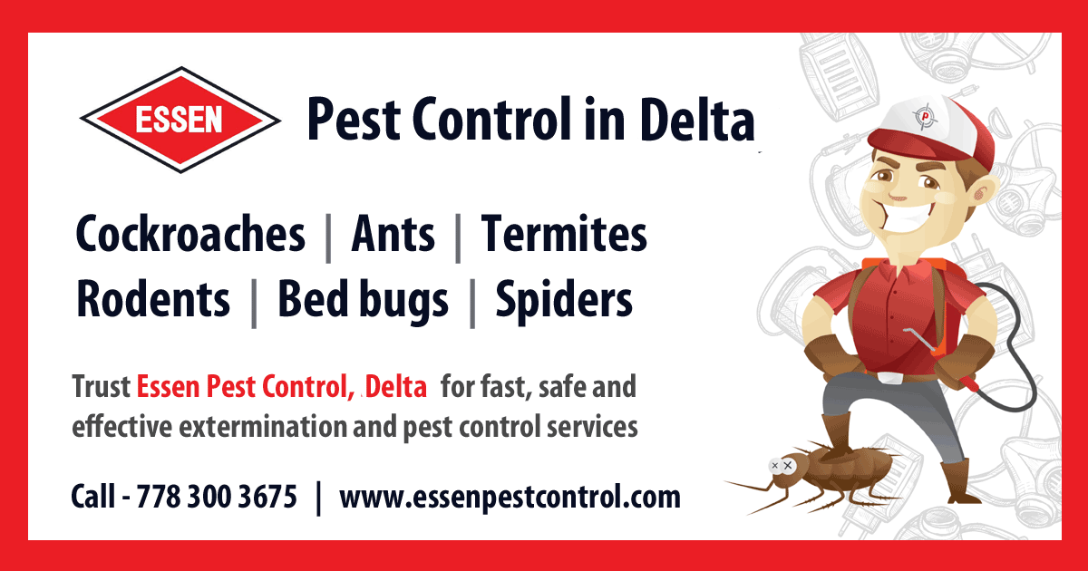 Pest Control & Extermination in Delta BC | Pest Control Near Me in Delta